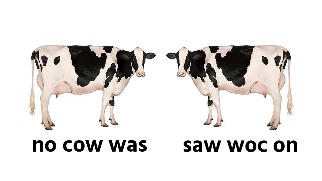 Is flipping “b” and “d” a sign of dyslexia? - The Hector Trust
